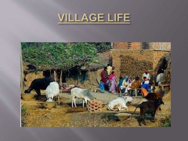 powerpoint presentation on a story 'son from america" | PPTX