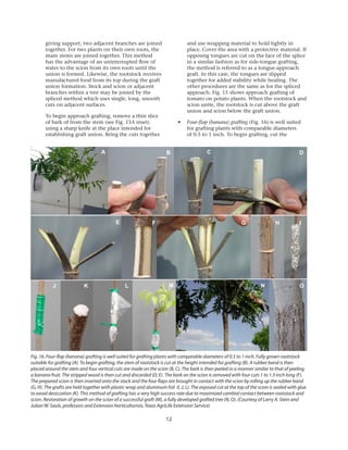 Grafting manual | PDF