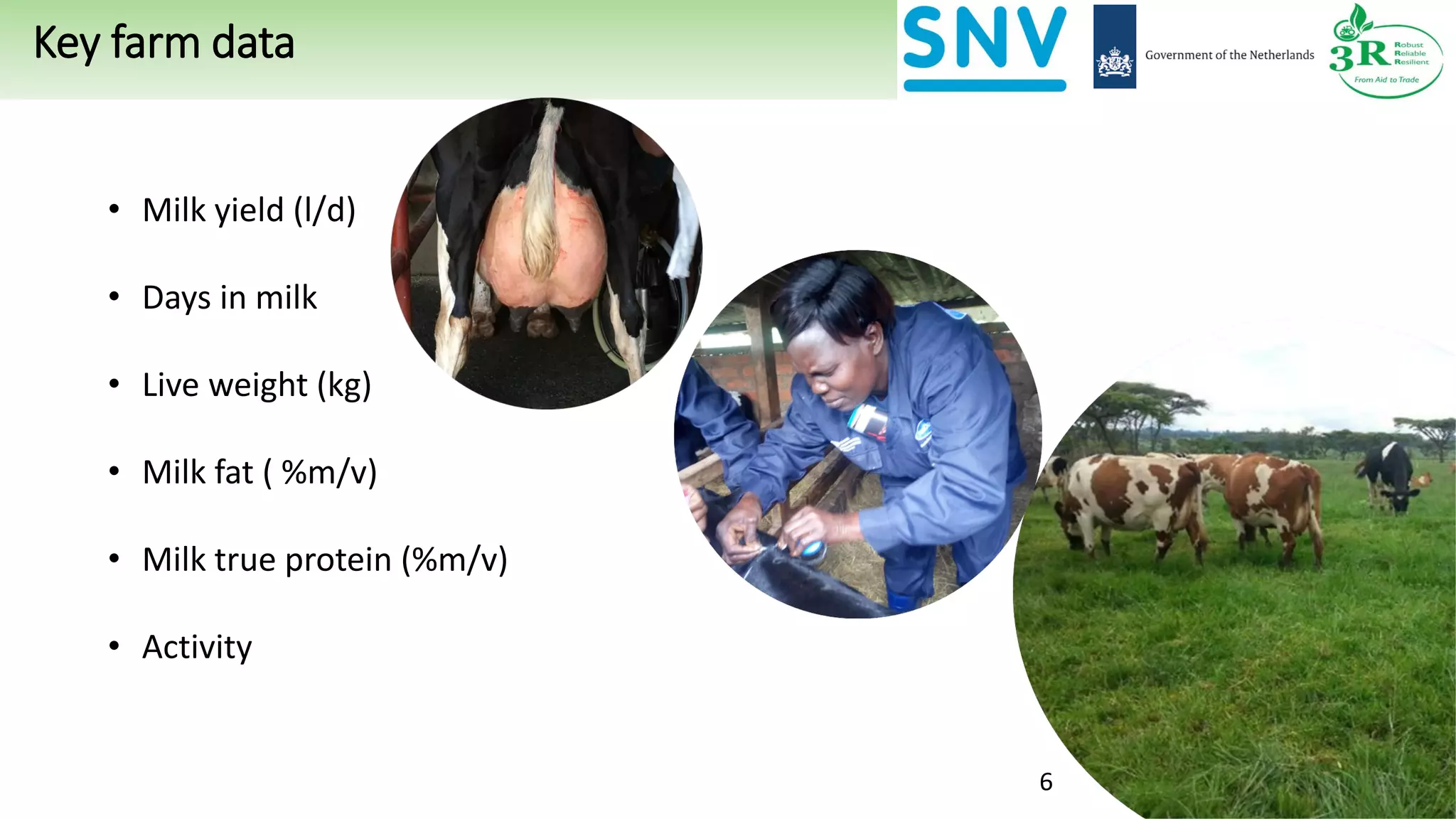 Total diet ration balancing software for dairy cows | PPT