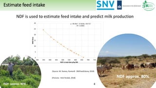 Total diet ration balancing software for dairy cows | PPT