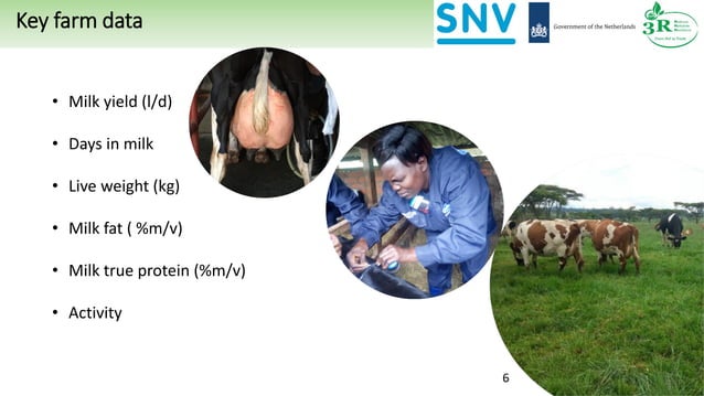 Total diet ration balancing software for dairy cows | PPT
