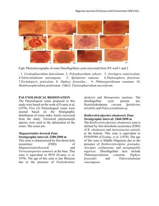 paleoenvironmental reconstruction of the cental swamp depobelt niger ...