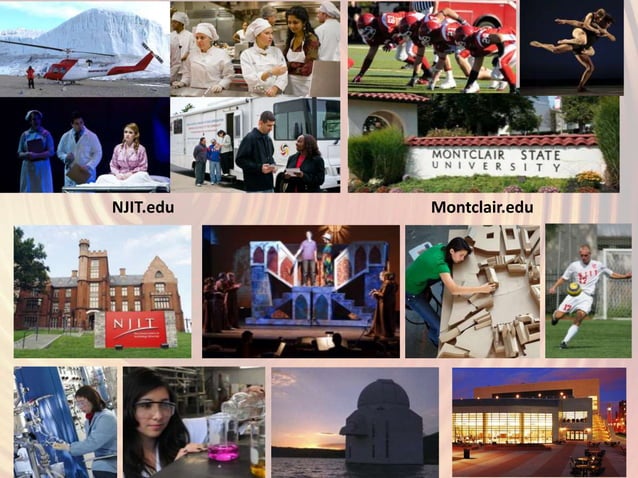 Technical Writing Across Disciplines | PPTX