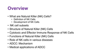 NK and ADCC.pptx