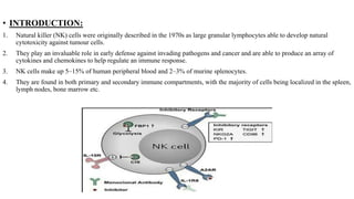 Nk cells and their functions | PPTX