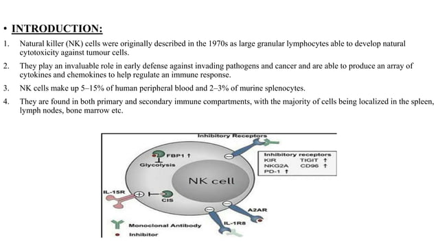 Nk cells and their functions | PPTX | Infectious Diseases | Diseases ...