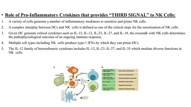 Nk cells and their functions | PPTX | Infectious Diseases | Diseases ...