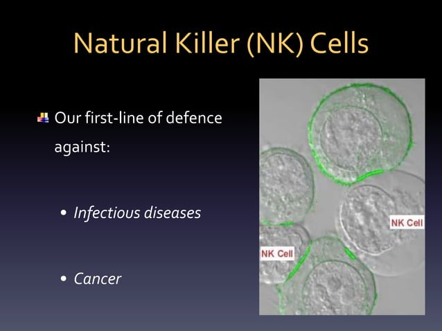 NK Cells & Cancer.pdf