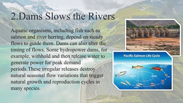 Benifits & Disadvantages of Dam | PPTX | Geography | Science