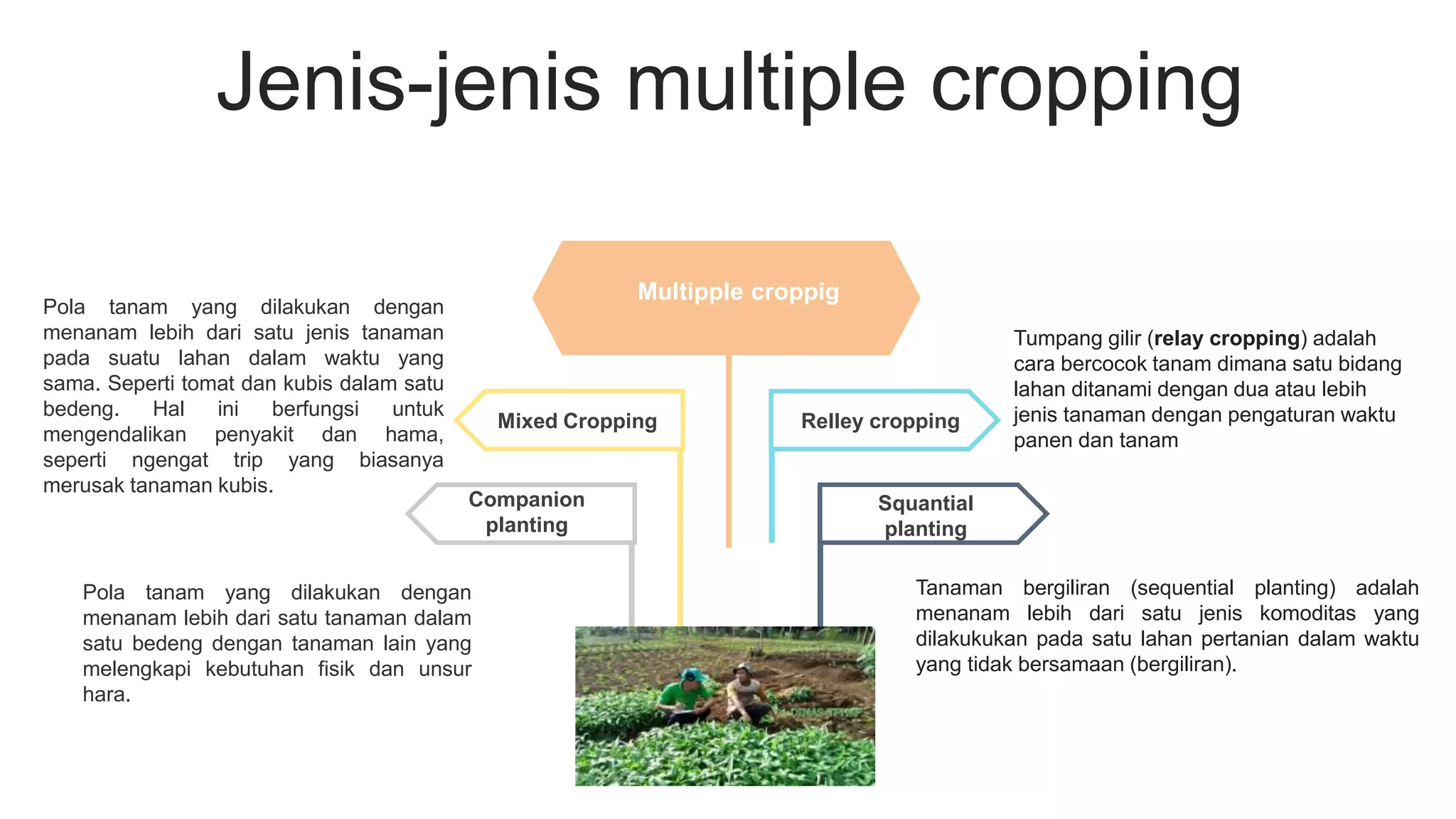 Nilai kesetaraan lahan | PPTX