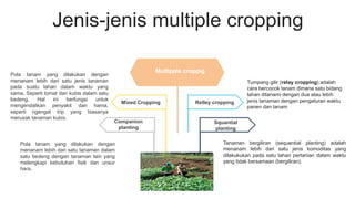 Nilai kesetaraan lahan | PPTX