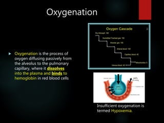 Nk oxygen basics | PPTX
