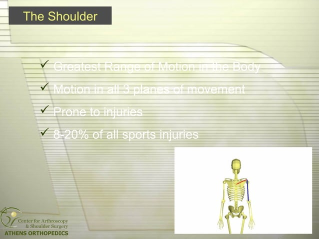 Multidirectional shoulder instability | PPT