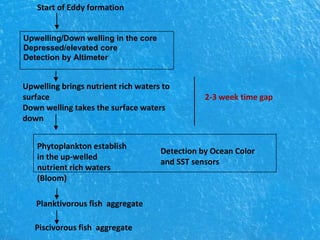 C2.03: Identifying essential fish habitats using oceanographic process ...