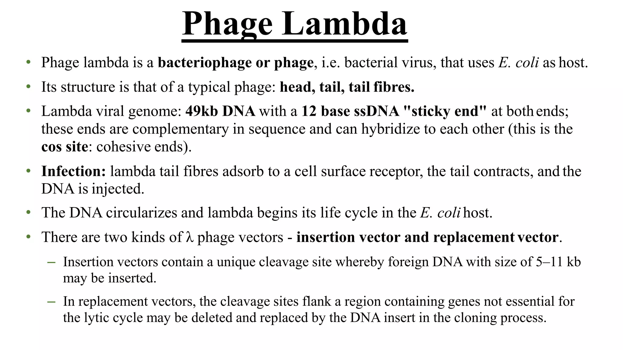 Lecture_3-Vectors.pdf | Biological Sciences | Science