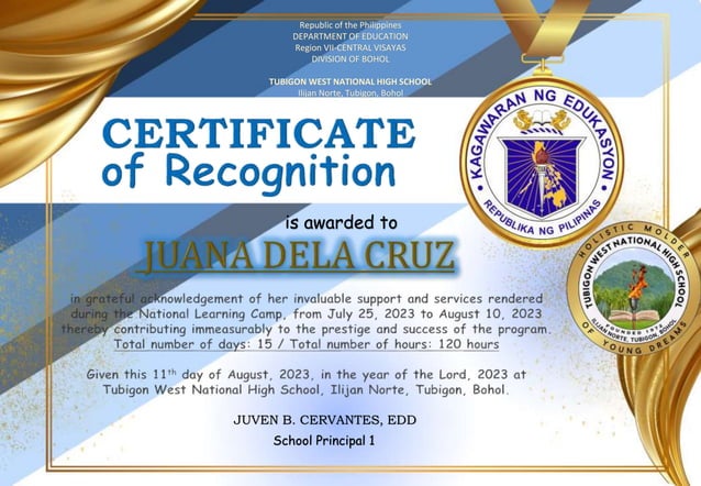 NLC-CERT-FOR-TEACHERS.pptx | Professional School | Postgraduate Education