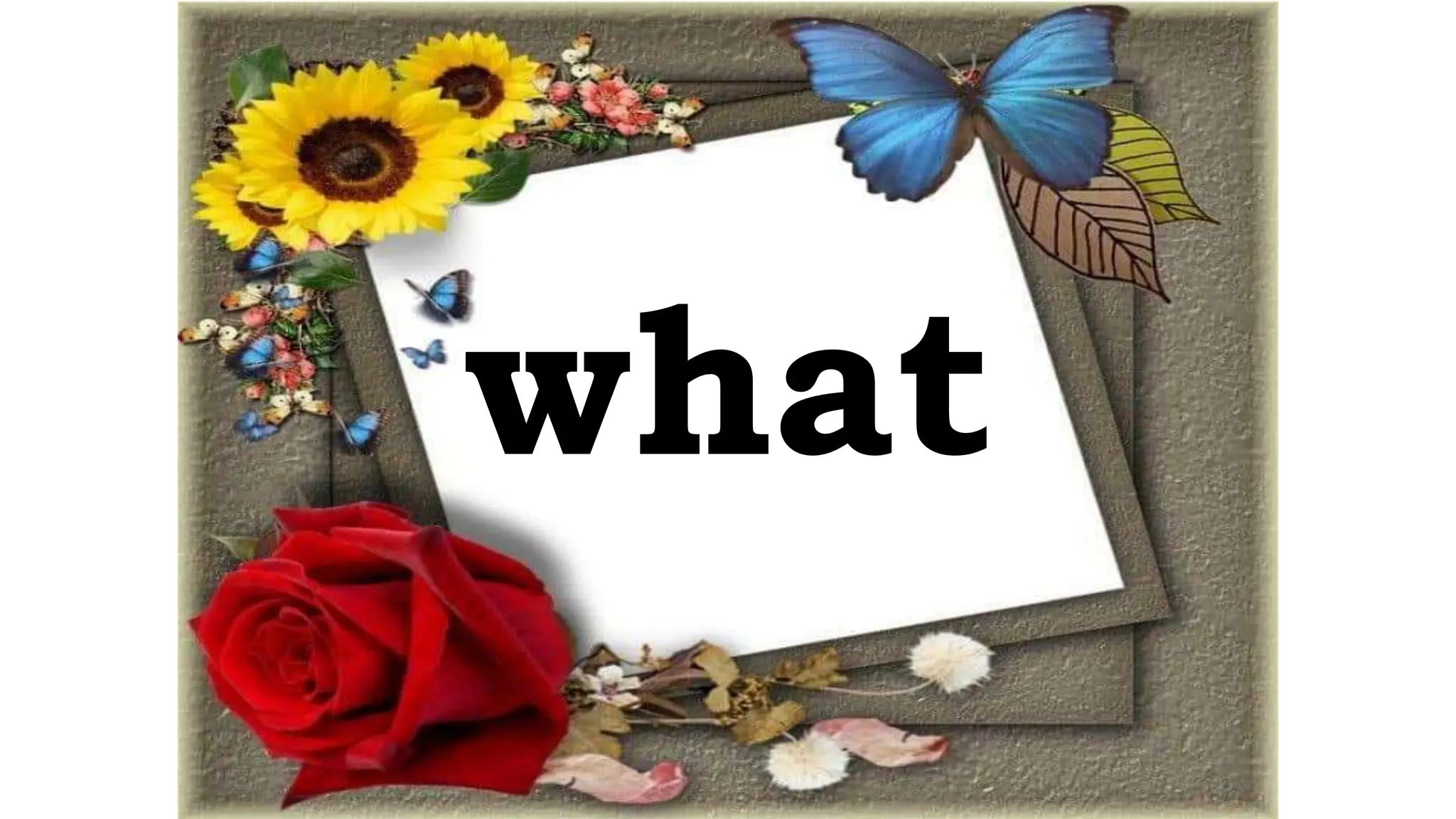 National Learning Camp English INTERVENTION LESSON 1.pptx