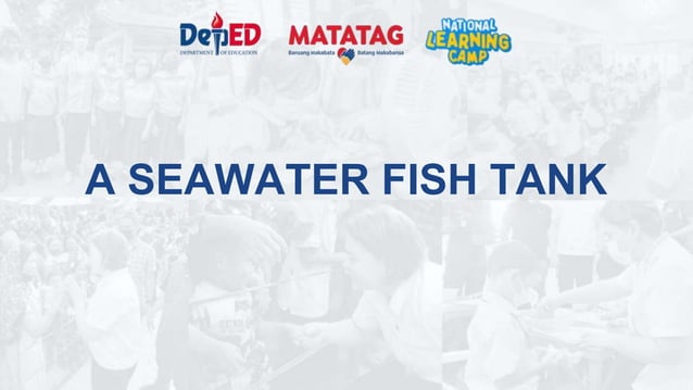 NLC Science Lesson 3 - A Seawater Fish Tank.pptx