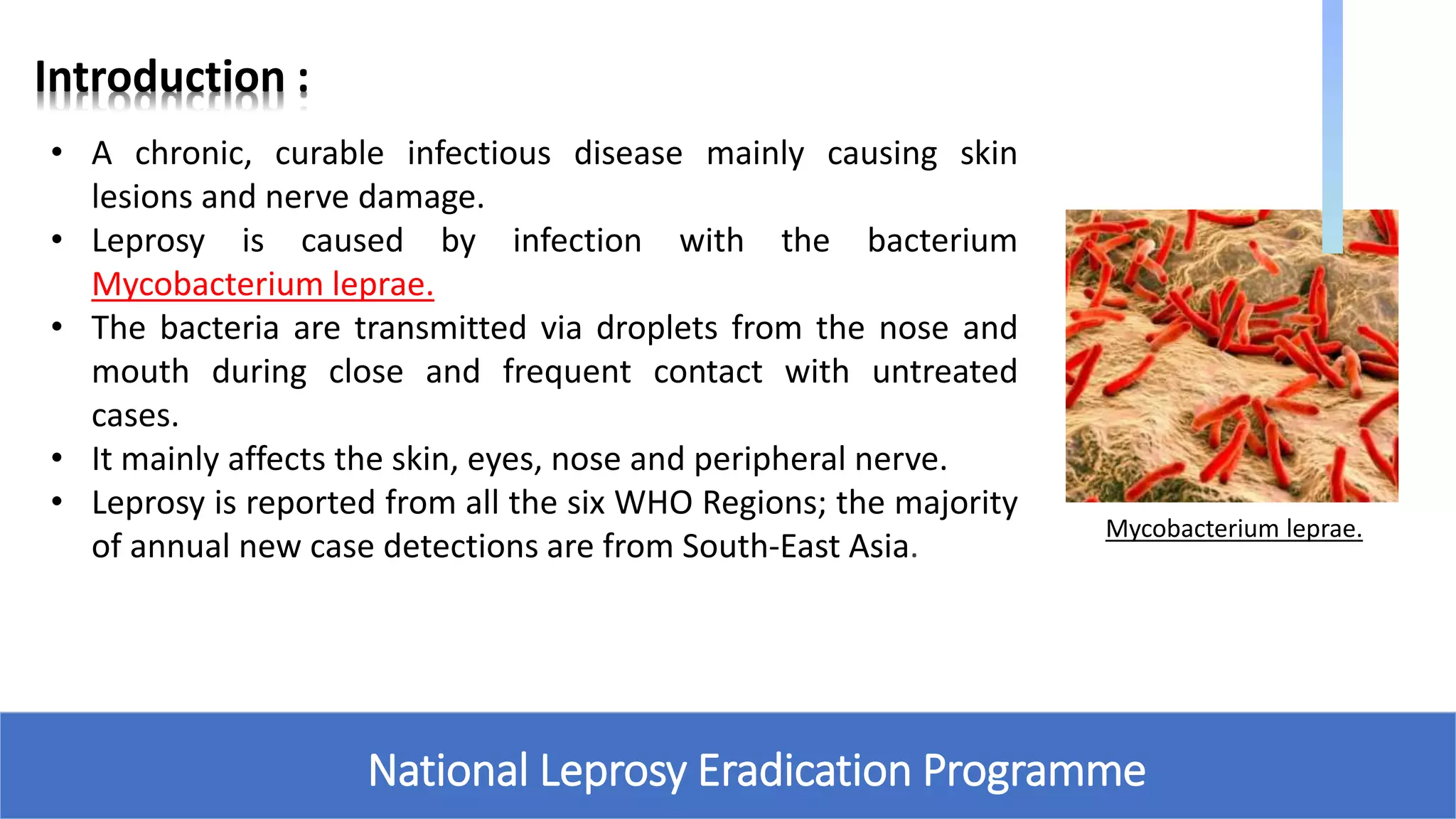 National Leprosy Eradication Programme (NLEP) | PPTX