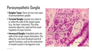 NEUOANATOMY-LIMBIC HISTOLOGY AND ANATOMY | PPTX