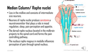 NEUOANATOMY-LIMBIC HISTOLOGY AND ANATOMY | PPTX