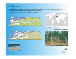 Nederlandse klimaat | PPT