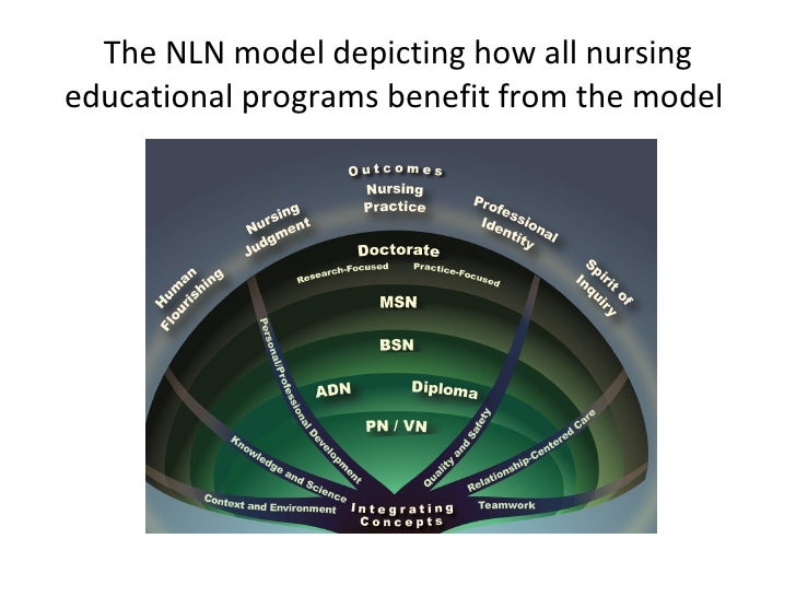 Nln Competencies Readers Digest Version