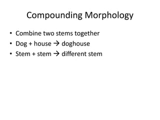 NLP_KASHK:Morphology | PPTX