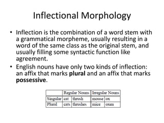 NLP_KASHK:Morphology | PPTX | Geology | Science