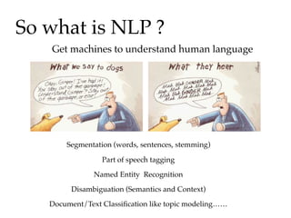 NLP & Machine Learning - An Introductory Talk | PDF