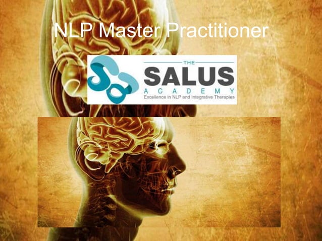 Nlp Master Practitioner | PPT