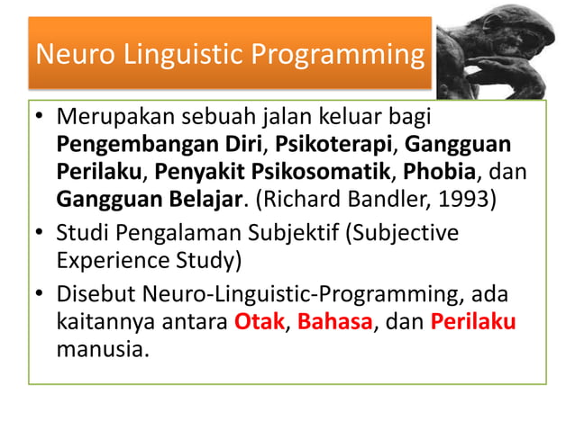 NLP - Sistem Representasi Internal dan Meta Model | PPTX