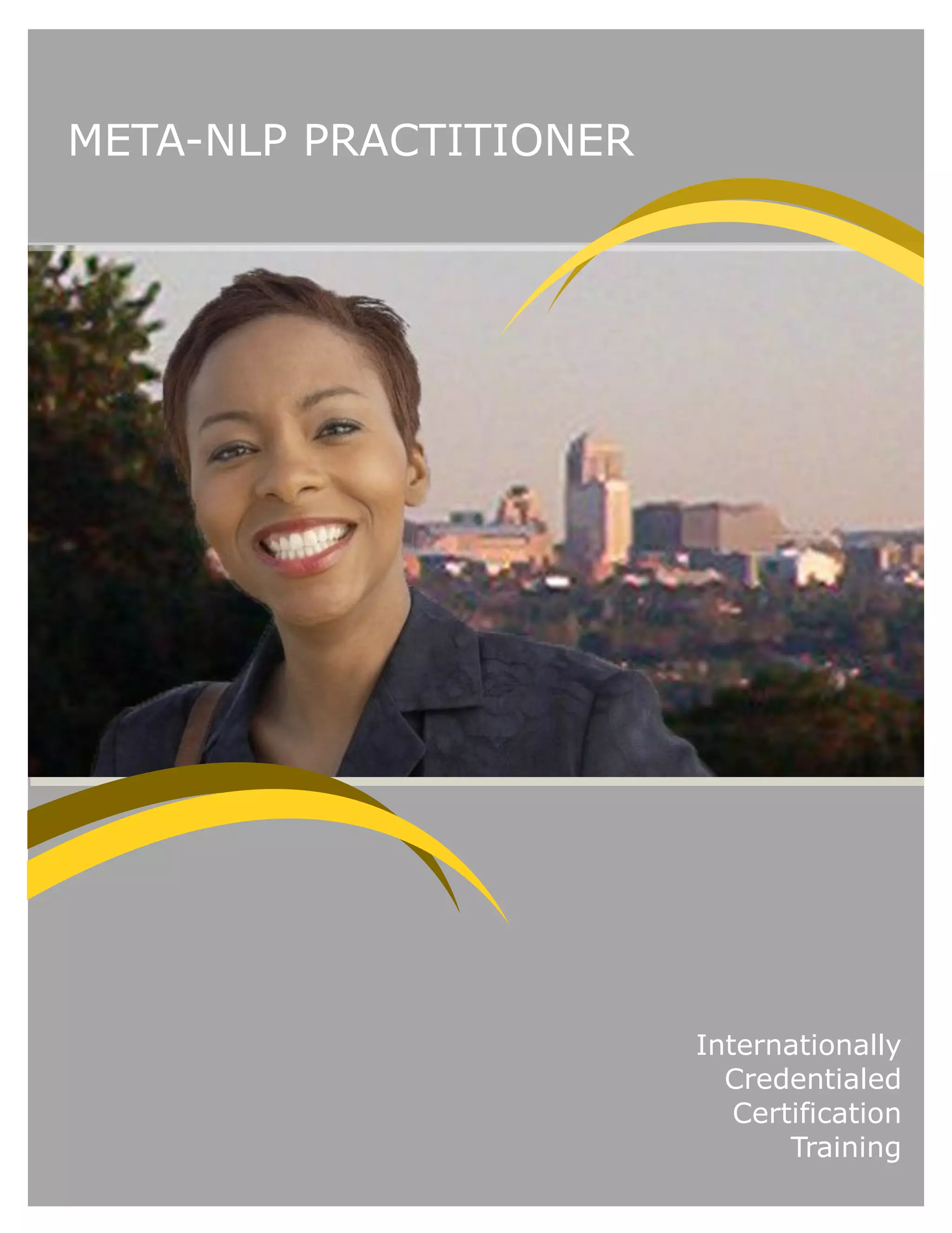 Meta-NLP Practitioner Brochure | PDF