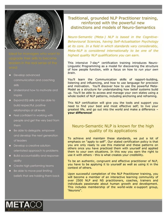 Meta-NLP Practitioner Brochure | PDF