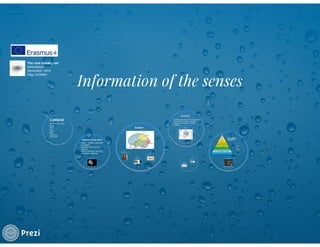 Information of the senses | PDF