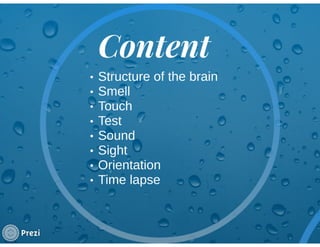 Information of the senses | PDF