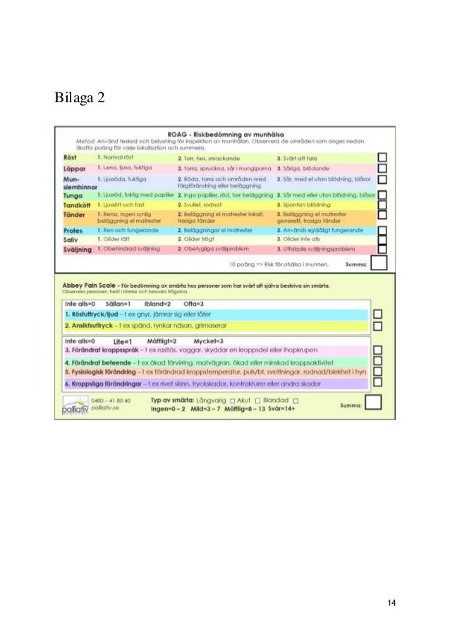Individuell palliativ uppsats