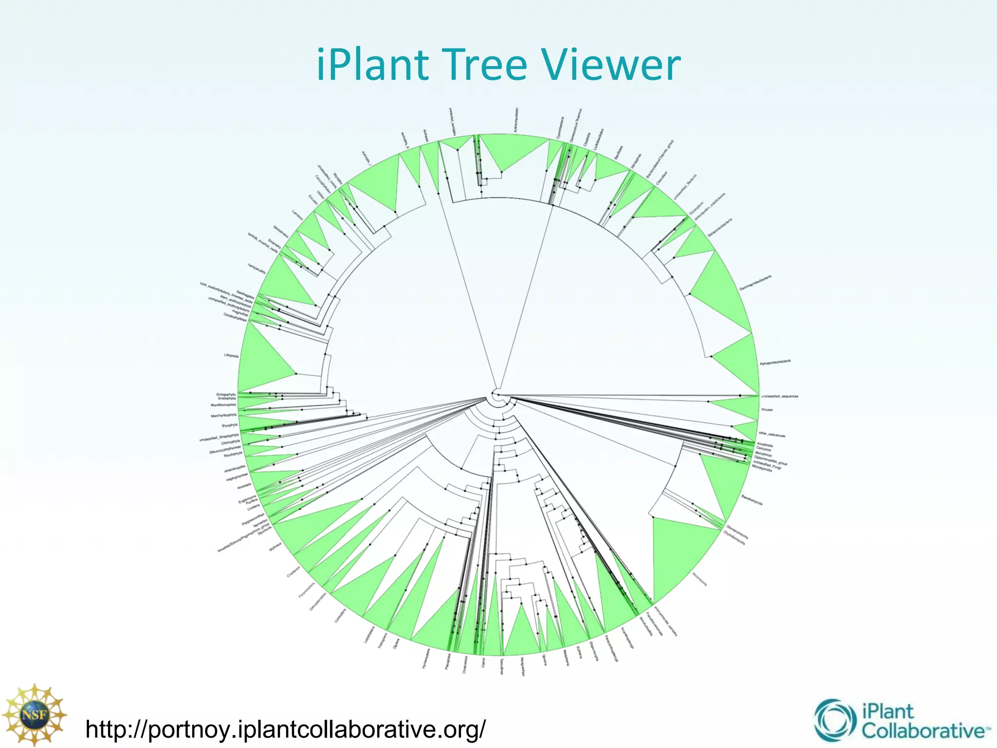Phylogenetic Workflows | PPT