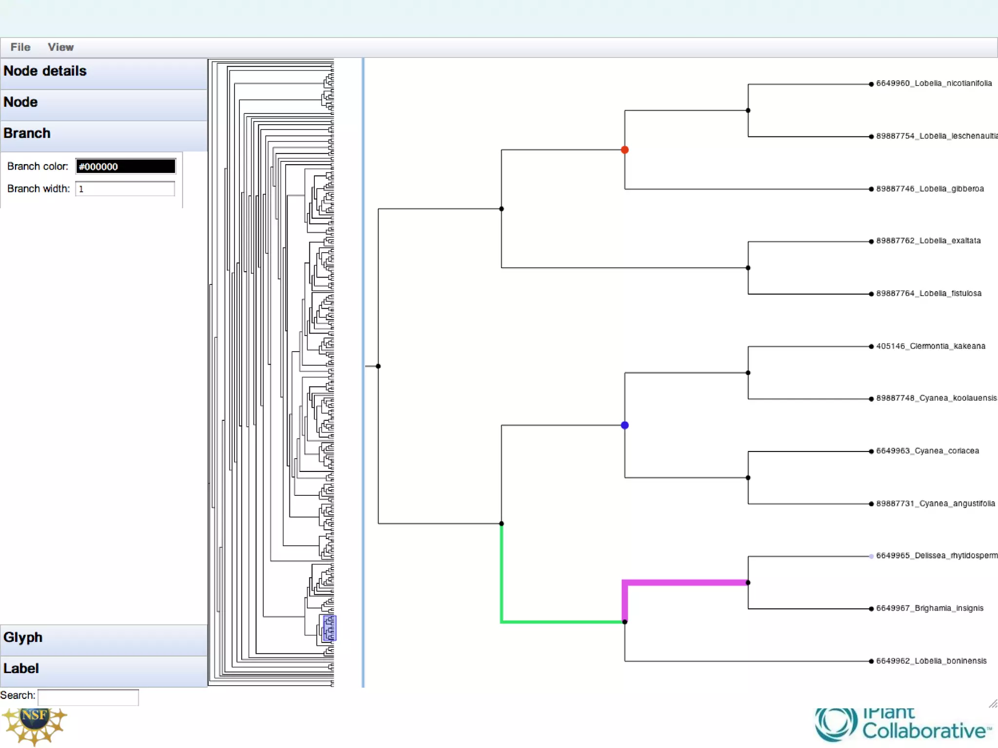 Phylogenetic Workflows | PPT
