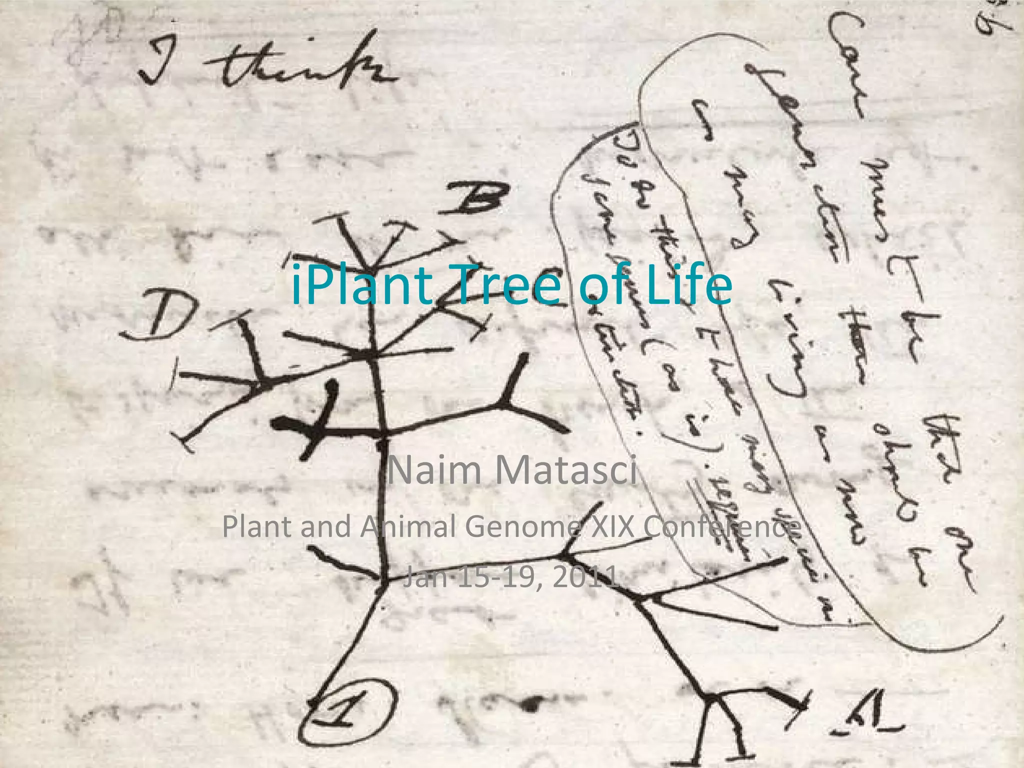 iPlant Tree of Life | PPT