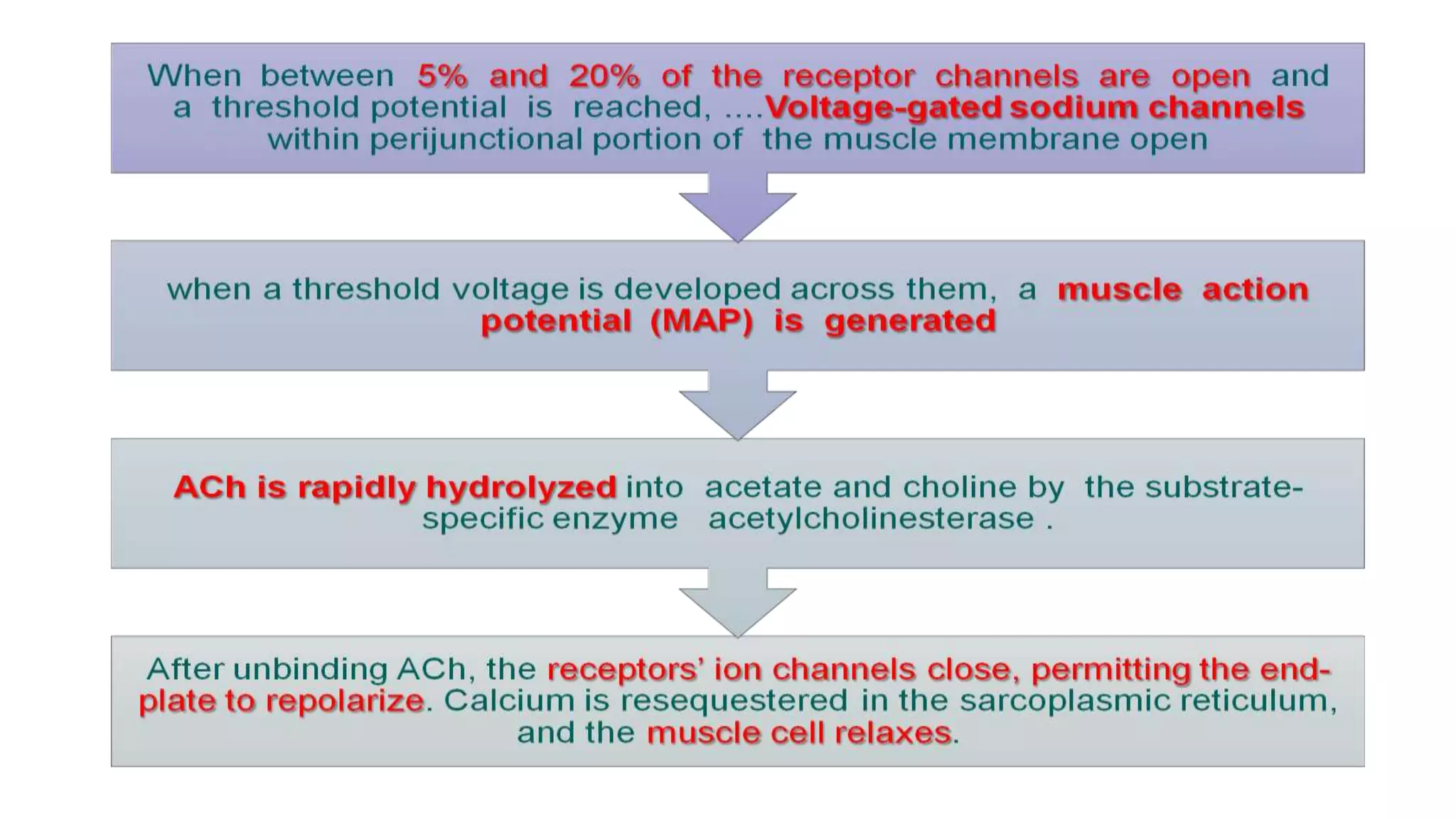 NMB and Skeletal Muscle relaxant.pptx