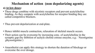 NMB and Skeletal Muscle relaxant.pptx