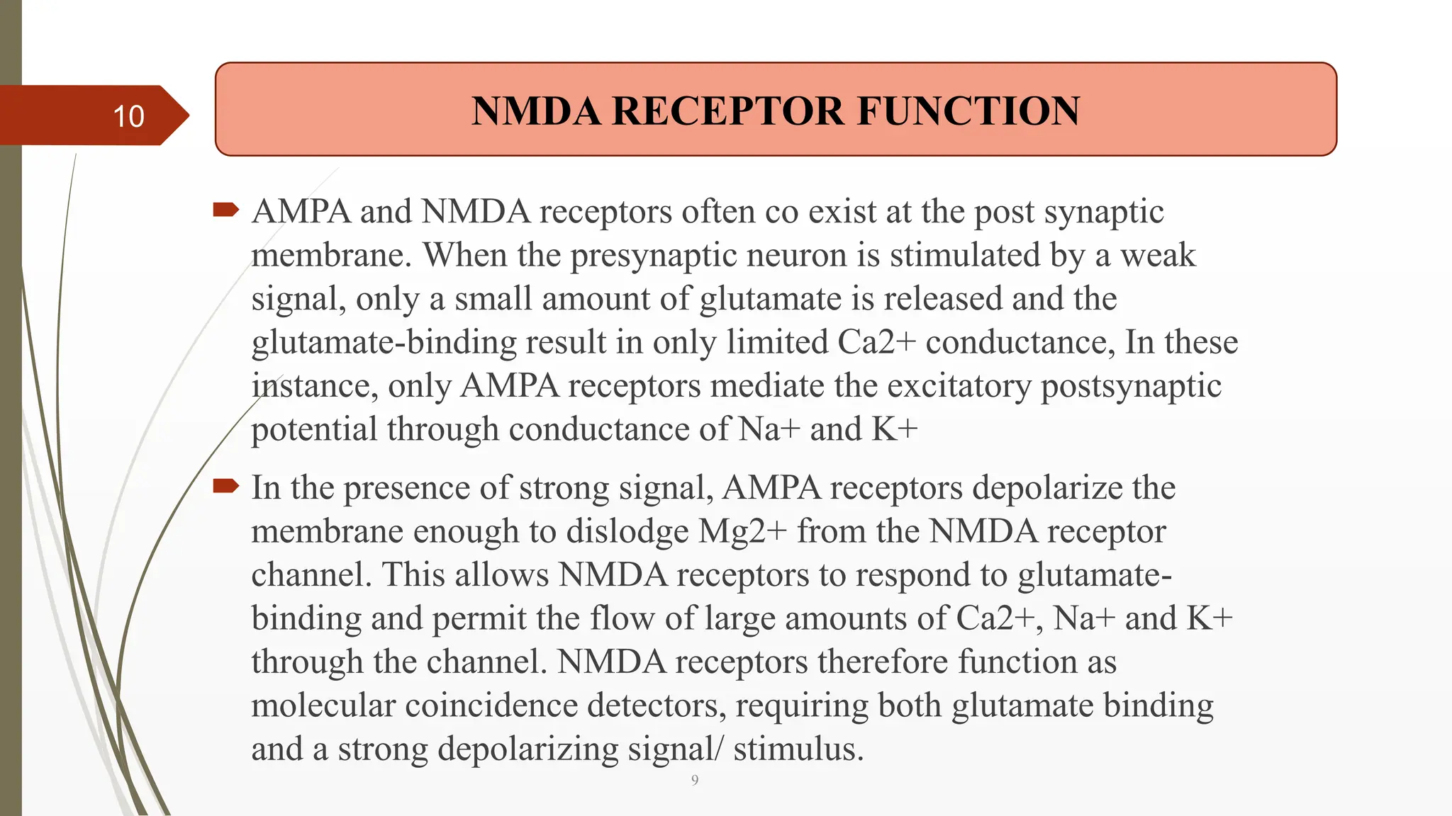 NMDA receptors and agonist as well as antagonist.pptx