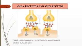 NMDA receptors and agonist as well as antagonist.pptx