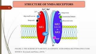 NMDA receptors and agonist as well as antagonist.pptx