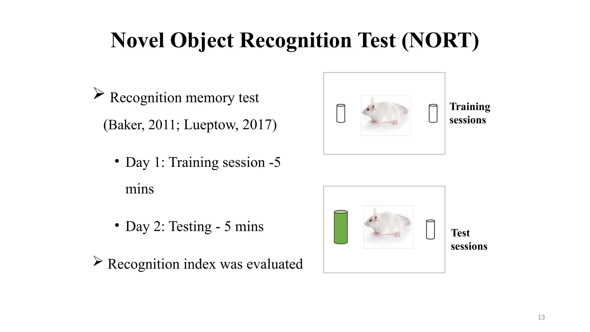 Centrality of N-Methyl D Aspartate receptors in ameliorating the ...