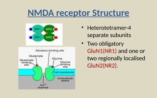 NMDA RECEPTOR AND DRUGS ACTING ON IT copy.pptx