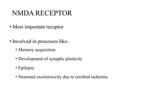NMDA receptors and drugs acting on them | PPTX