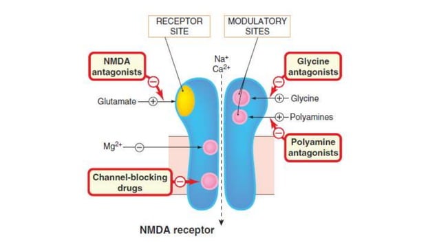 NMDA receptors and drugs acting on them