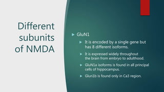 Nmda receptors and glun3 subunits: a review | PPT